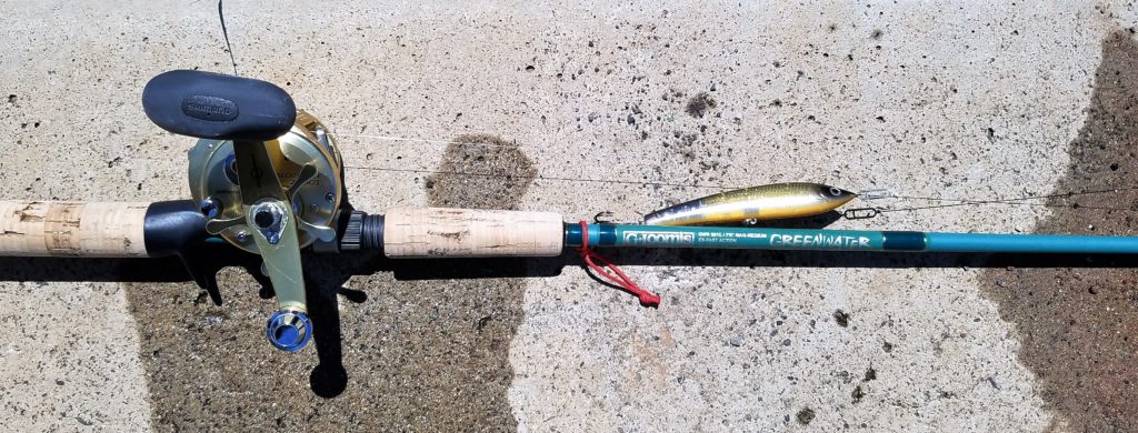 Top water / sub-surface lure session - Hawaii Nearshore Fishing