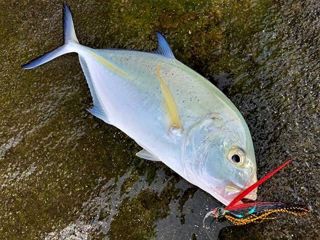 Holoholo: Matt is selling his Hookum Flies!